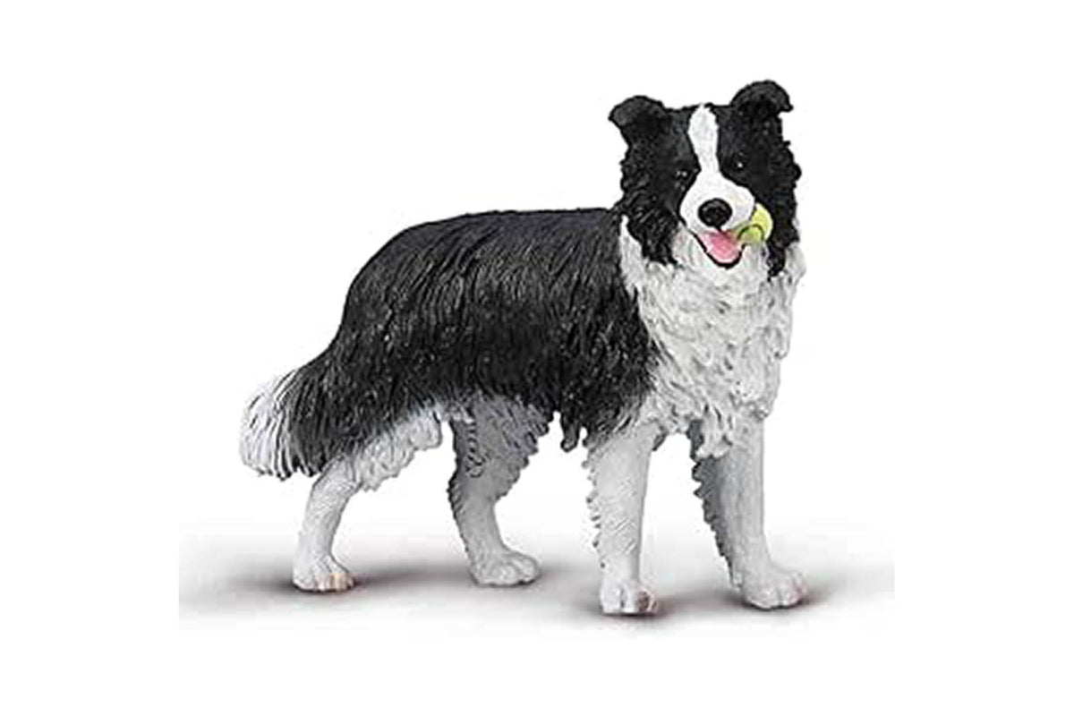 CTA9580012 CollectA Border Collie – Brushwood Toys