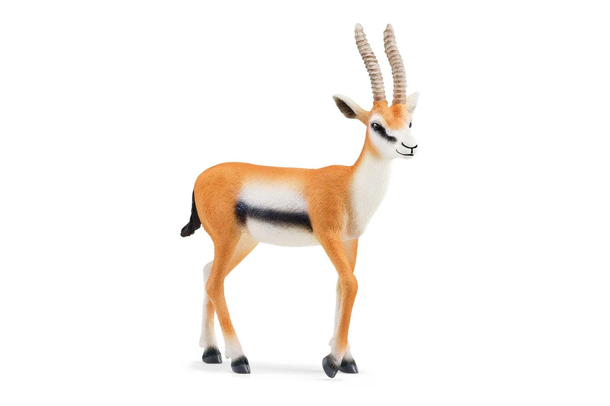 SL14861 Schleich Gazelle – Brushwood Toys