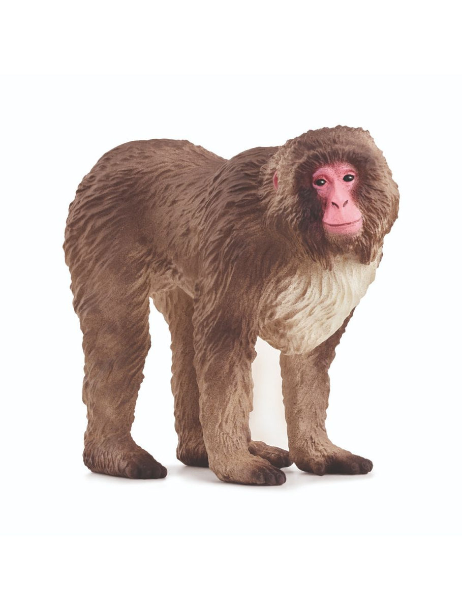 SL14871 Schleich Japanese Macaque Monkey – Brushwood Toys