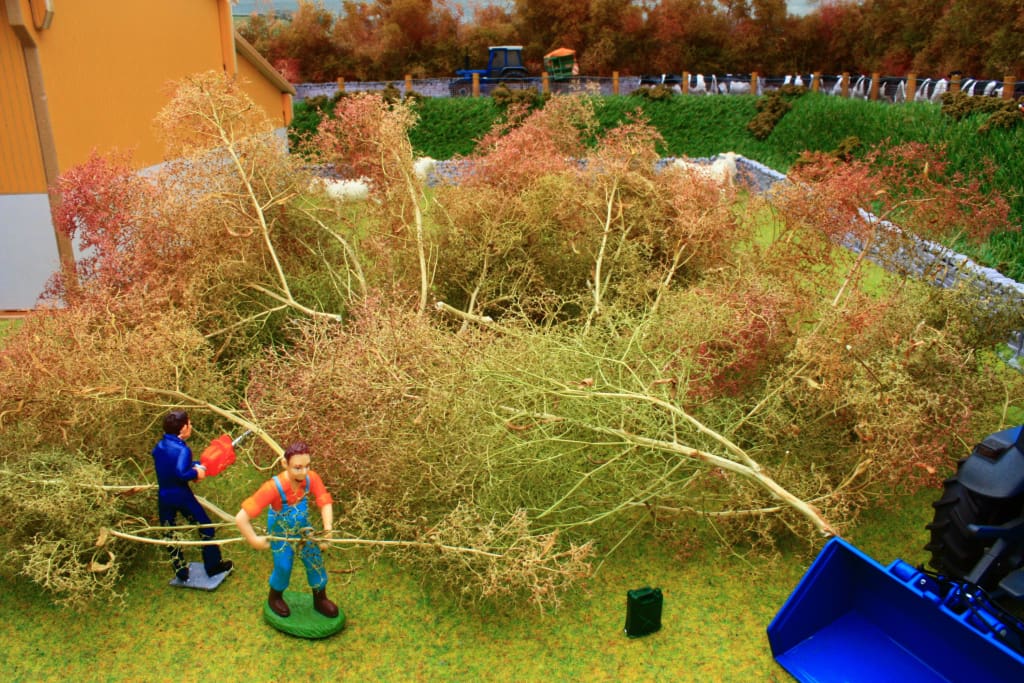 BT3023 Sea Foam Trees (age 14 +) Without Leaf Foliage Pack – Brushwood Toys