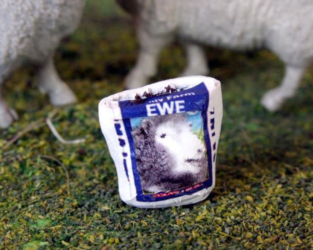 HLT-WM043H Open Sack of Ewe Nuts – Brushwood Toys