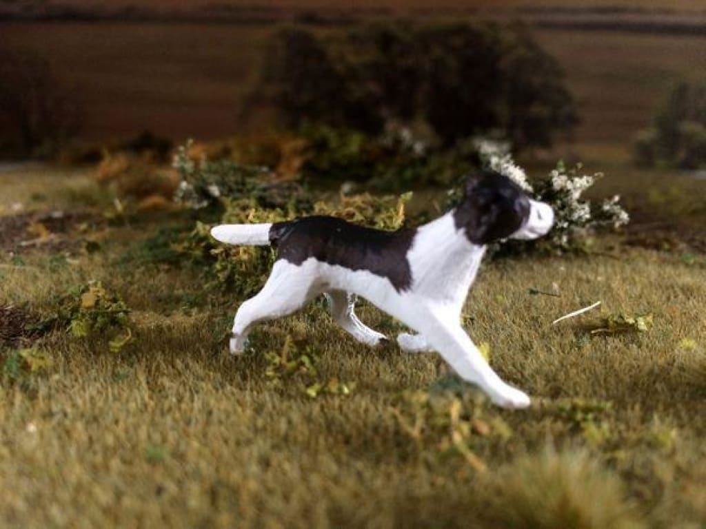 HLT-WMA10 Hound Digger – Brushwood Toys